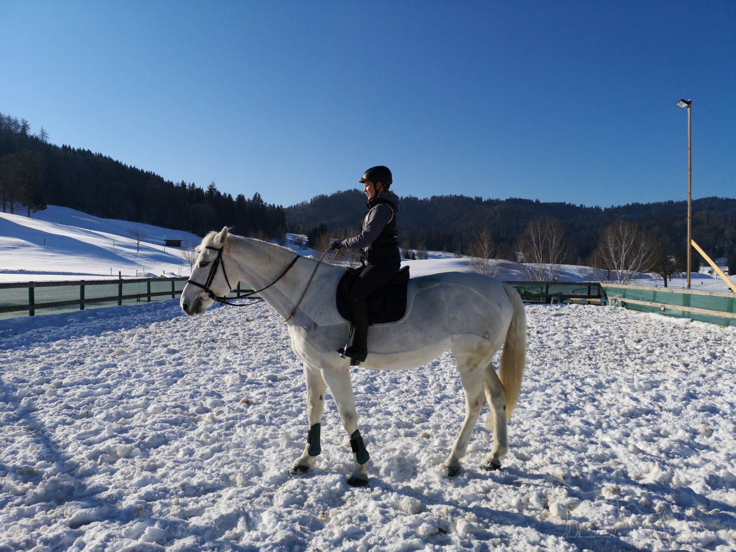Halsring reiten mit deinem Pferd – Tiertherapie Niquille – der sanfte ...